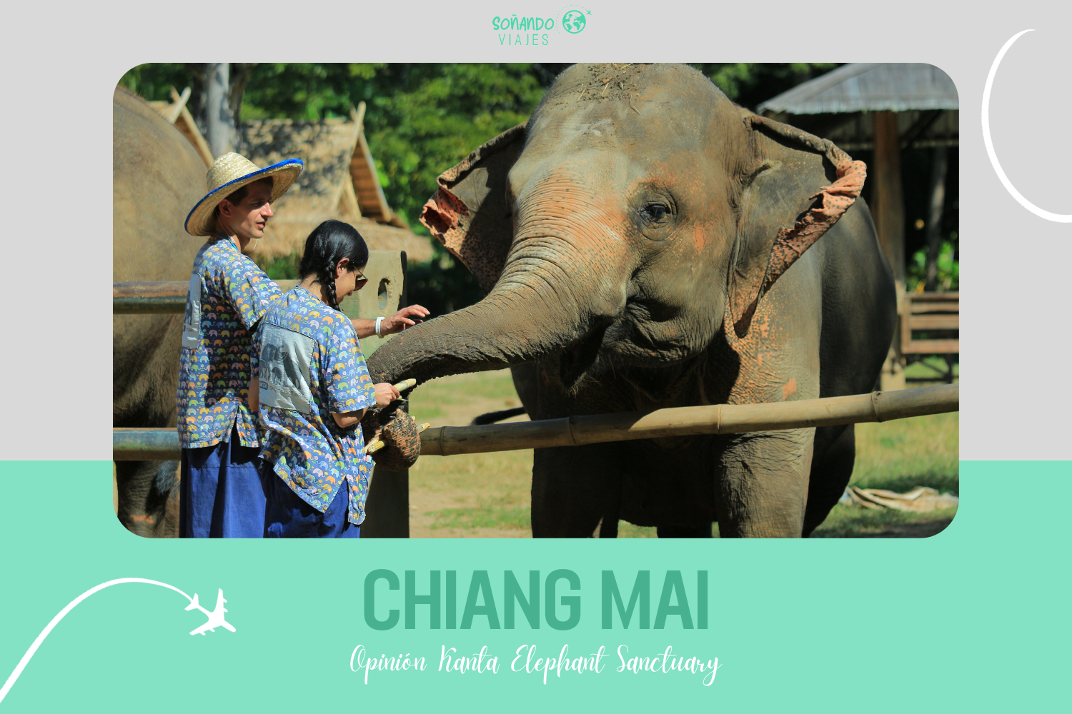Qué Santuario de Elefantes visitar en Chiang Mai: nuestra opinión sobre ...